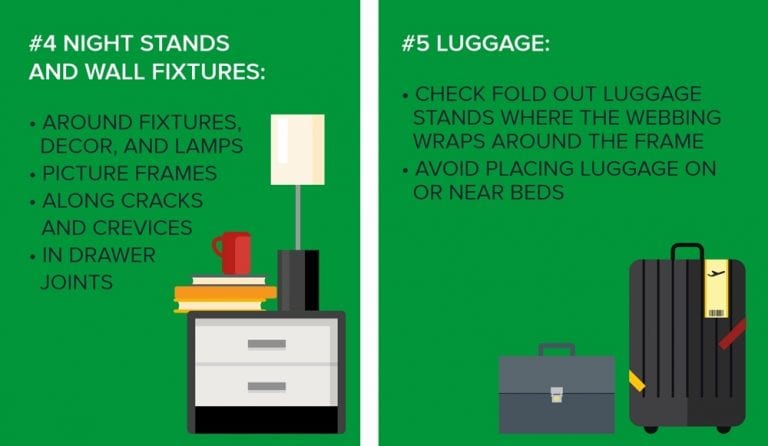 Avoid Bed Bugs: Tips for a Pest-Free Business Trip